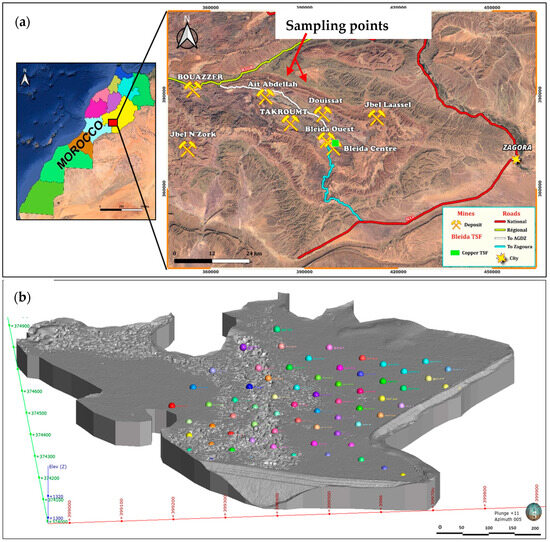 Comprehensive Assessment of Environmental Behavior of Mine Tailings for Sustainable Waste ...
