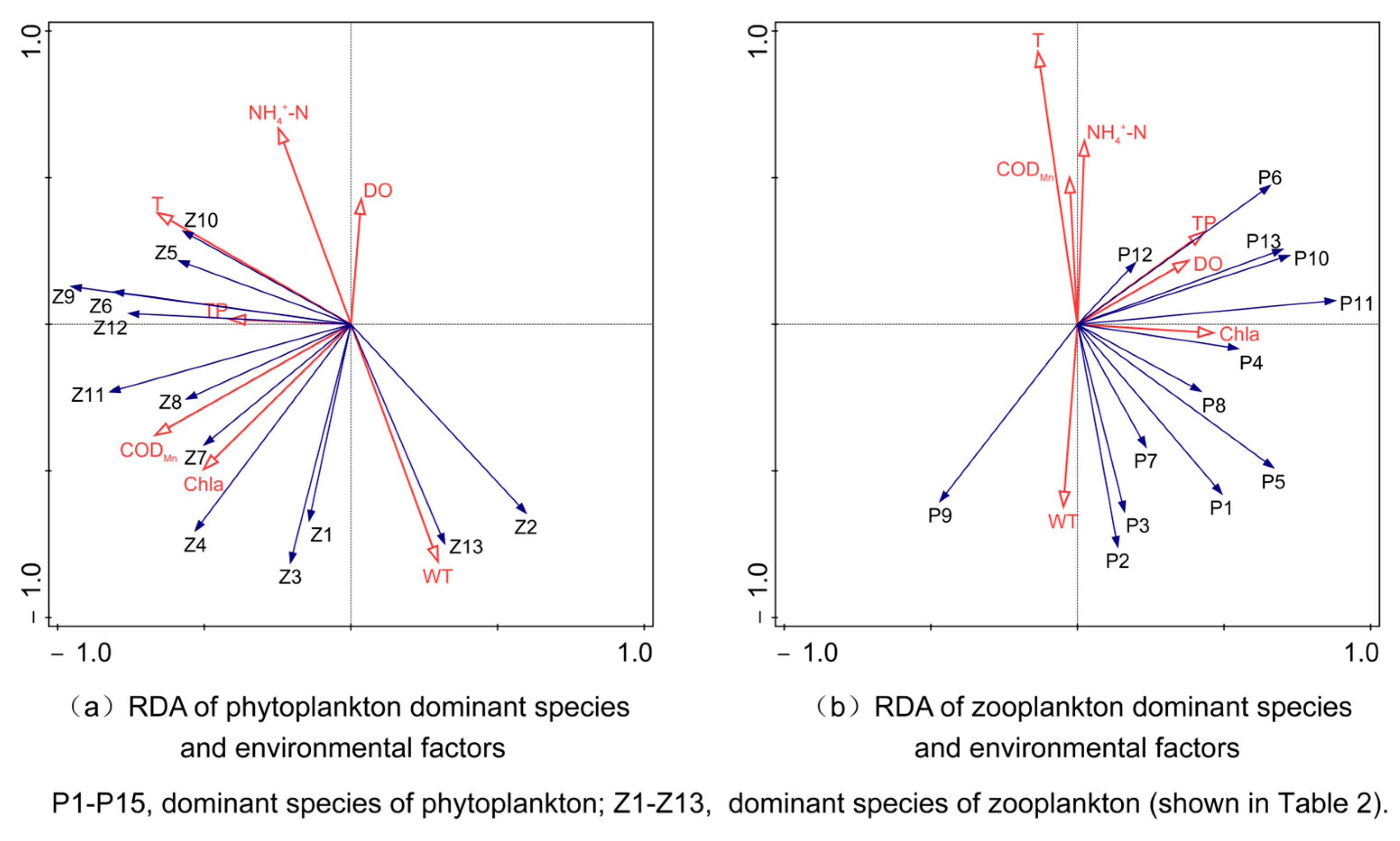 Spatial and Seasonal Dynamics of Plankton Community and Its ...
