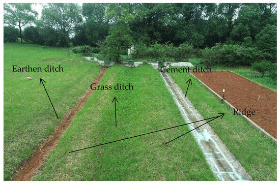 Impact of Organic and Chemical Fertilizers on Nutrient Co-Migration in ...