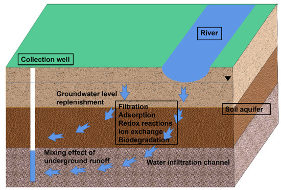 A Comprehensive Review of Riverbank Filtration Technology for Water ...