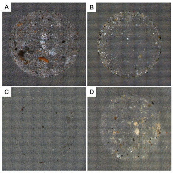 Microplastic Pollution in Sewage Sludge from Wastewater Treatment ...