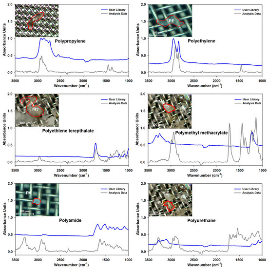 Microplastic Pollution in Sewage Sludge from Wastewater Treatment ...