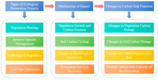 Impact of Ecological Restoration on Carbon Sink Function in Coastal ...
