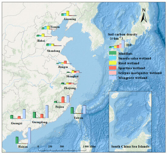Impact of Ecological Restoration on Carbon Sink Function in Coastal ...