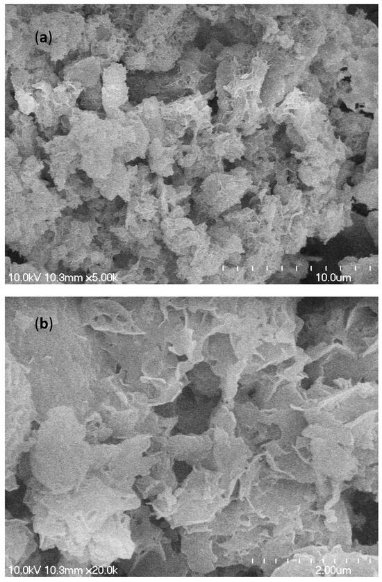 Assessing the Potential of Biomass Hydrothermal Liquefaction Hydrochar ...