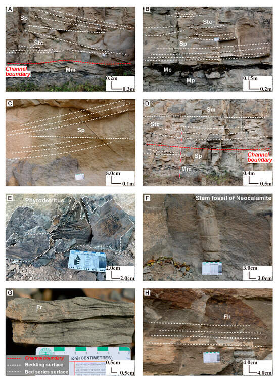 Depositional Architecture of Aggrading Delta Front Distributary ...