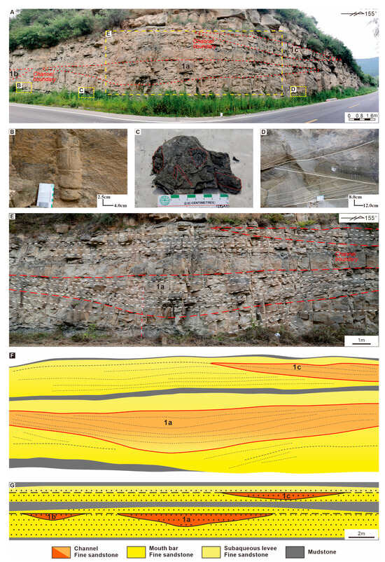 Depositional Architecture of Aggrading Delta Front Distributary ...