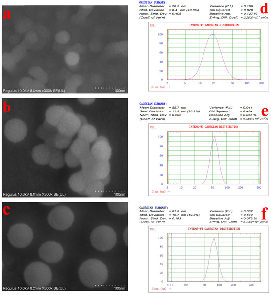 Size-Dependent Effects of Polystyrene Nanoplastics on Freshwater Microalgae After Long-Term Exposure