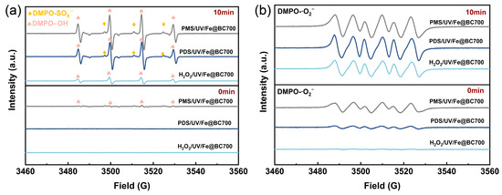Activation of H2O2/PDS/PMS by Iron-Based Biochar Derived from Fenton ...