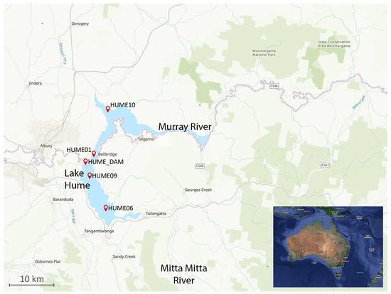 Managing Cyanobacteria Blooms in Lake Hume: Abundance Dynamics Across ...