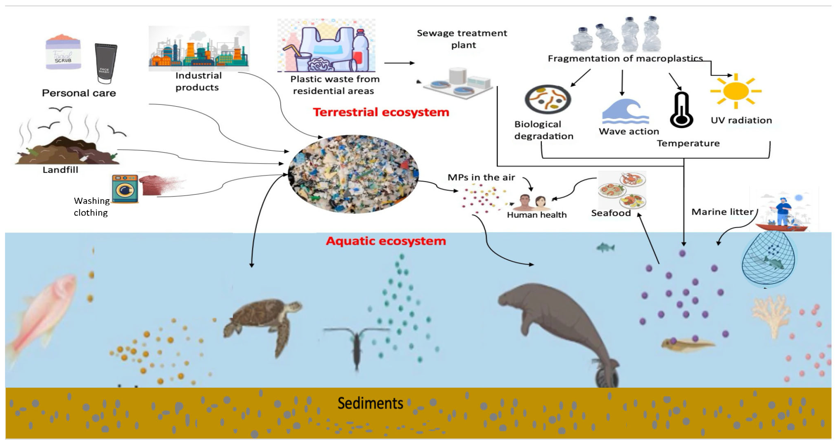 An Overview on Microplastics Hazards to the Marine Ecosystem and Humans ...