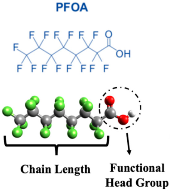 Molecular Dynamics Simulation of the Impact of Functional Head Groups ...