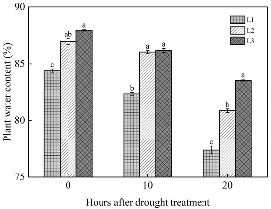 Evaluation of Leaf Water Content in Watermelon Based on Hyperspectral ...