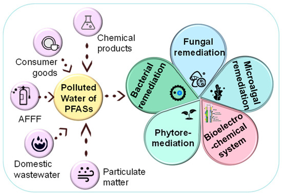 Leading Techniques for Per- and Polyfluoroalkyl Substances (PFASs ...