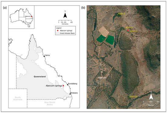 Groundwater Extraction Causes a Rapid Reduction in Spring Expression at ...