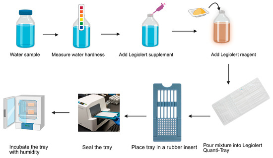 Legionella in Urban and Rural Water, a Tale of Two Environments