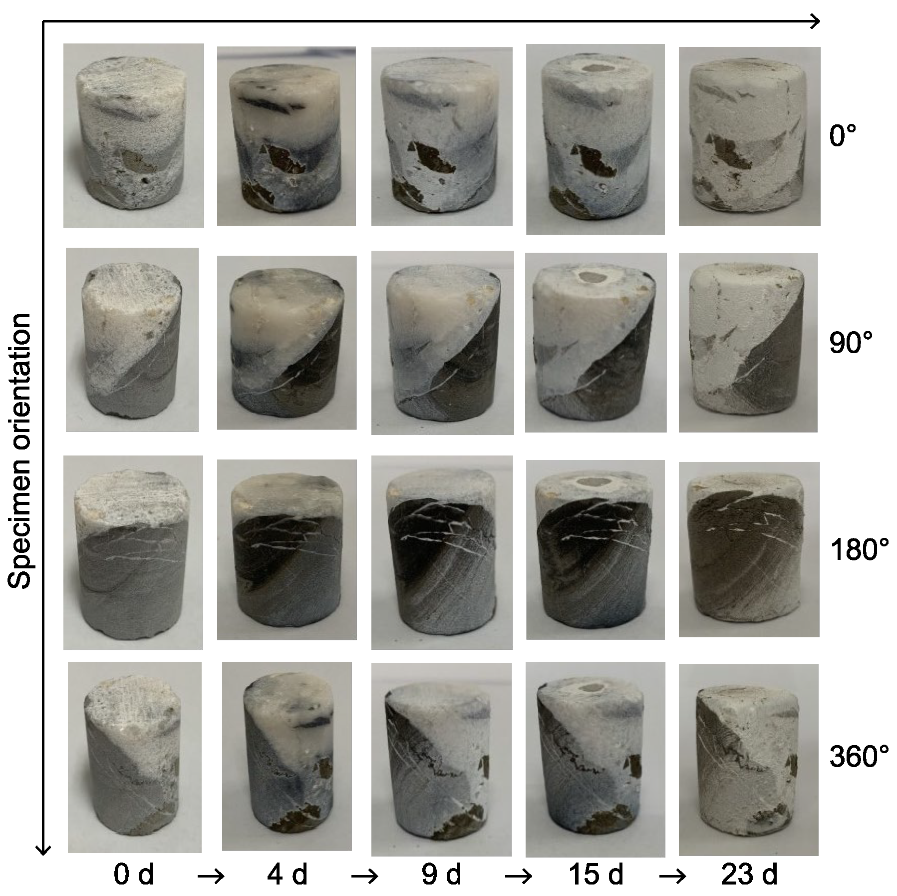 Impact of Diverse Calcite Vein Patterns on Dissolution Characteristics of Triassic Limestone in ...