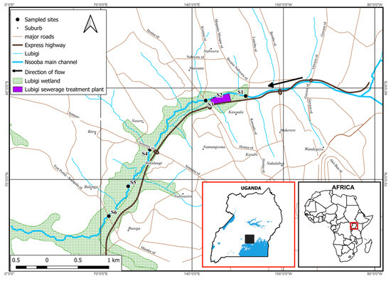 Tropical Wetlands as Nature-Based Solutions to Remove Nutrient and ...