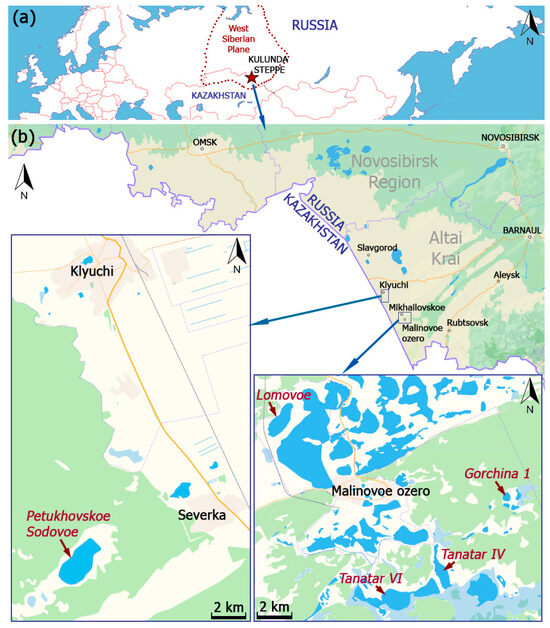 Invertebrate Assemblages in Some Saline and Soda Lakes of the Kulunda Steppe: First Regional ...