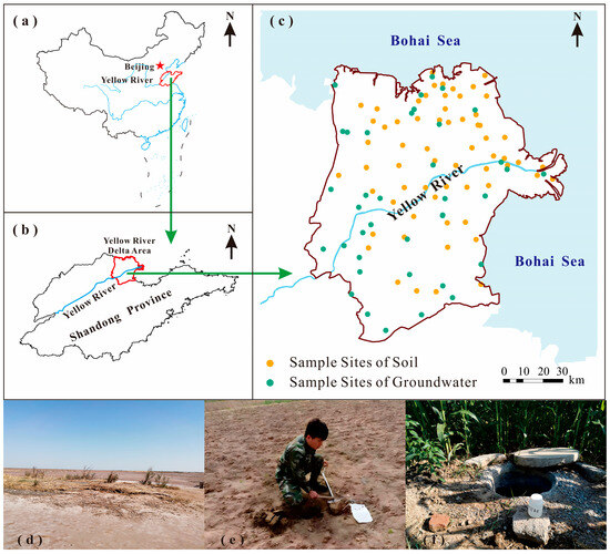 Characteristics and Risk Assessment of Soil Salinization in the Yellow ...