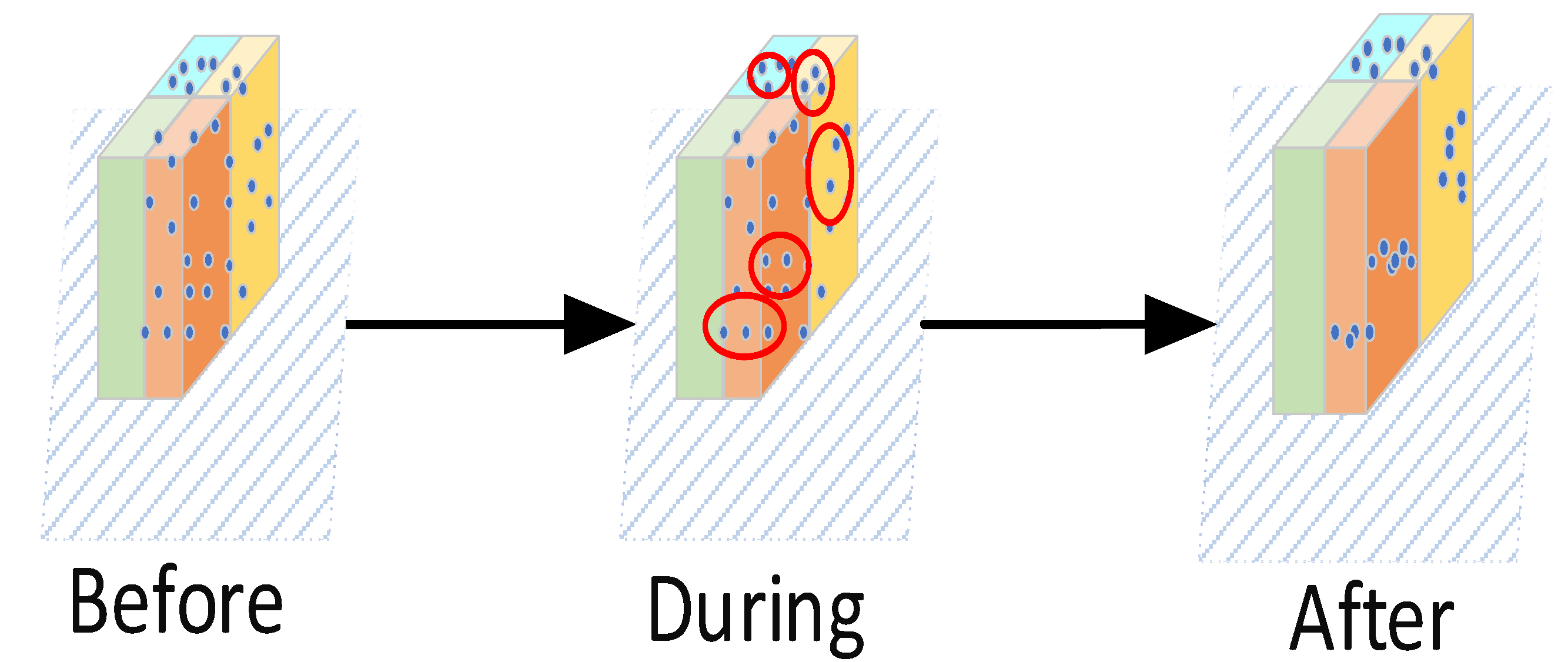 Advanced Point Cloud Techniques for Improved 3D Object Detection: A Study on DBSCAN, Attention ...