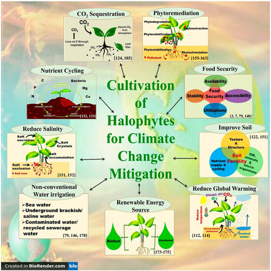 Exploring the Potentials of Halophytes in Addressing Climate Change ...
