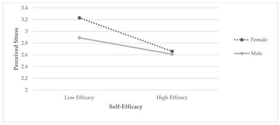 Self-Efficacy, Perceived Stress, and Individual Adjustment among ...