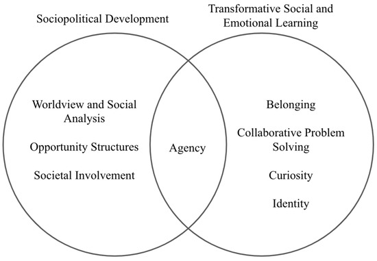 Youth | Free Full-Text | Examining the Intersection of Sociopolitical Development and ...