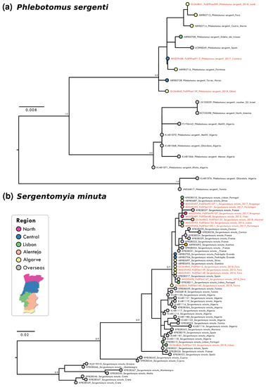 Zoonotic Diseases | An Open Access Journal from MDPI