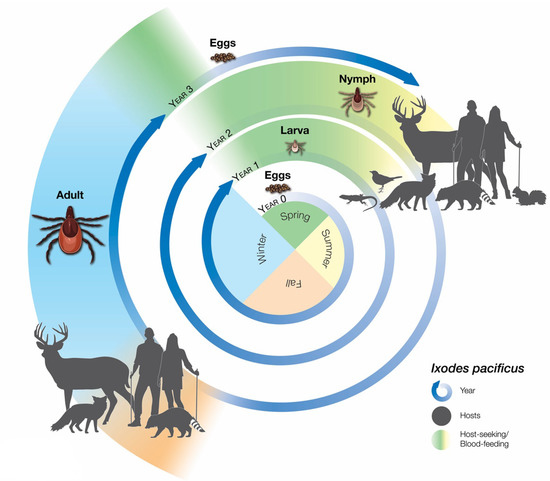 Ecology and Epidemiology of Lyme Disease in Western North America