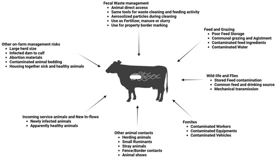 Salmonellosis in Cattle: Sources and Risk of Infection, Control, and ...